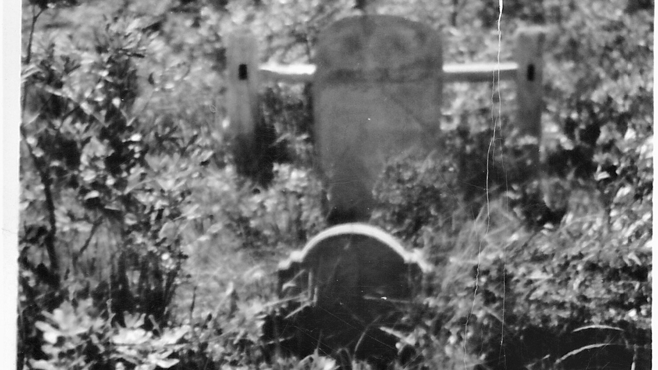 100 Years Ago – 13 January 1923 – MORUYA and District Historical ...