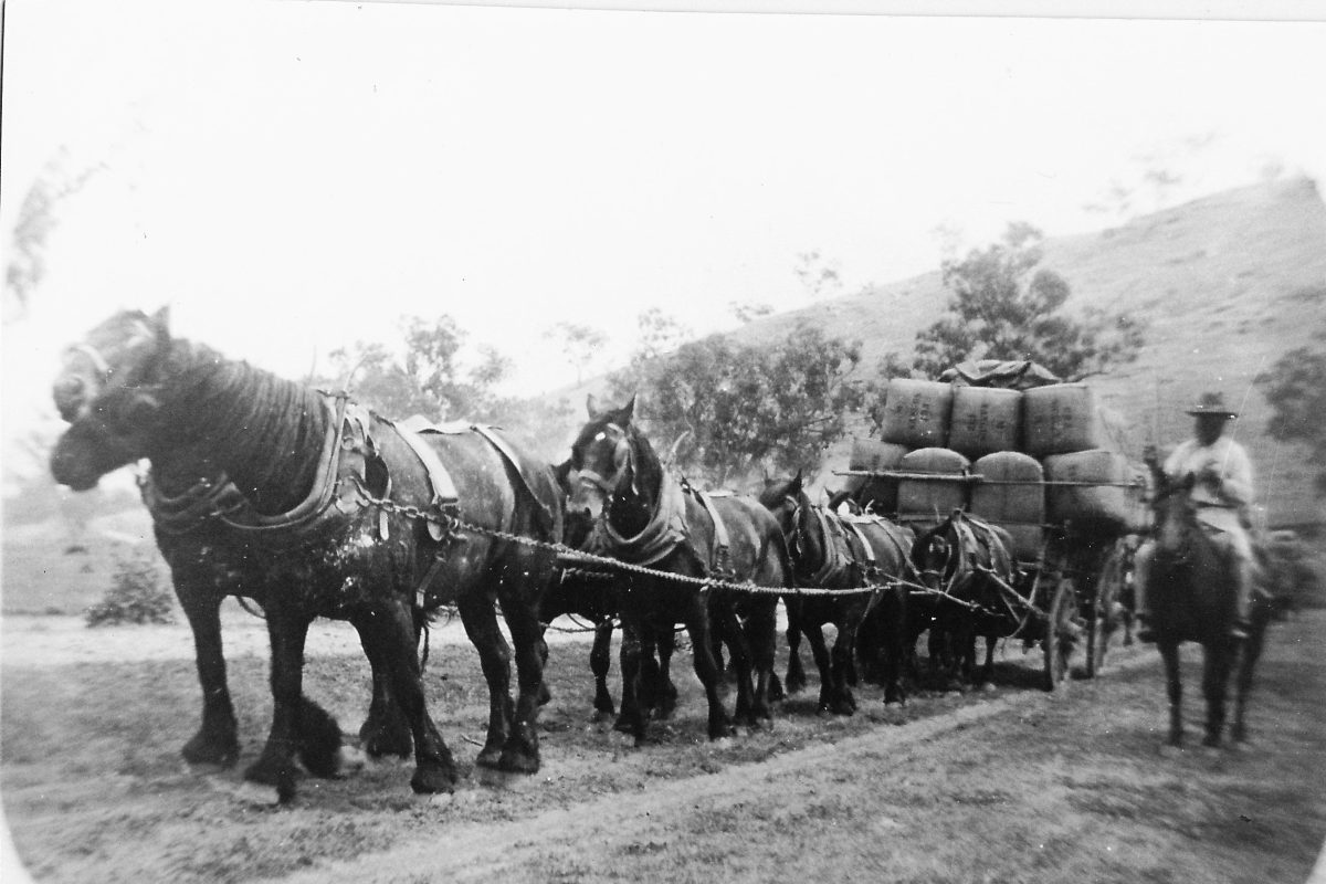 The Pain of Paying Tolls – 150 Years Ago – MORUYA and District ...