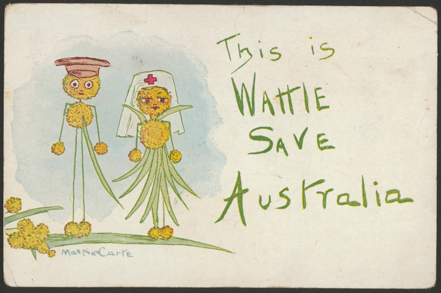 A Golden History: The Story of National Wattle Day – MORUYA and ...